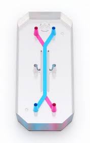 Projects: QMUL Centre for Predictive in vitro Models